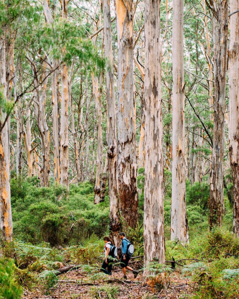 A Charming Country Escape In Yallingup, WA - Cape Lodge
